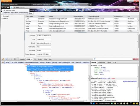 Vaadin Part Deux Widgets Forms Validators • Tarn Aeluin