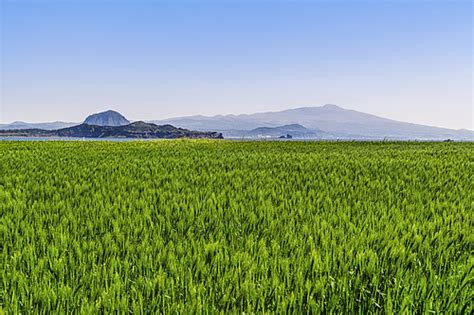 유토이미지 가파도 청보리밭과 제주도 한라산과 산방산
