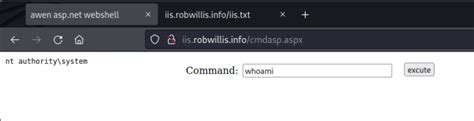 analyzing and detecting iis backdoors