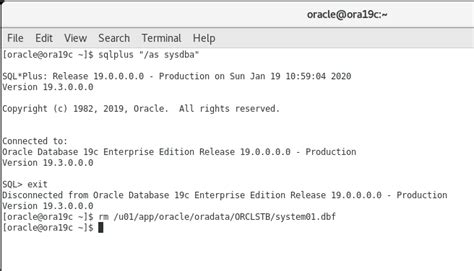 Usando O Recurso Recover Standby Database Do Serviço Dataguard No 19c Oracle Brasil