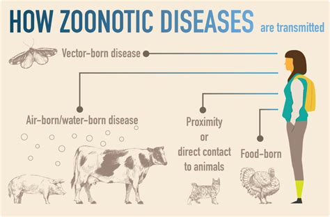 Zoonotic Infections Diseases Transmitted From Animals To Humans