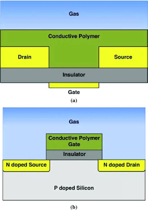 Structure Of Conductive Polymer Chemfet Sensors Download Scientific Diagram