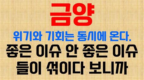 금양 금양주가 금양주가전망 금양분석 금양목표가 금양주식 금양주식전망 금양상한가 금양 Youtube