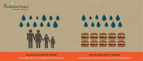 Food Math 101 The Plantrician Project Going Vegetarian Vegan