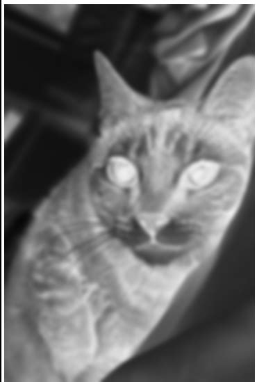 A Gentle Introduction To Convolution Filters By Skylar S Skytech Medium