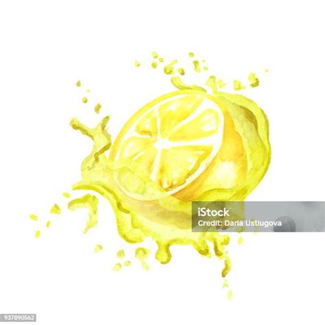 신선한 레몬 주스 스플래시 흰색 배경에 고립에서 수채화 손으로 그린 그림 감귤류 과일에 대한 스톡 벡터 아트 및 기타 이미지