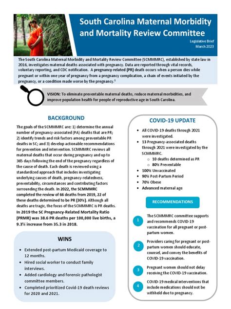 South Carolina Maternal Morbidity And Mortality Review Committee Pdf