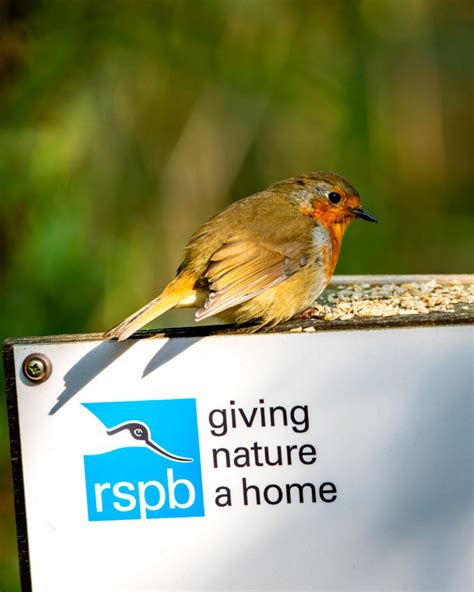 Visitor Team Free Photos On