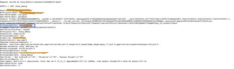 X Forwarded For Can Not Be Reset As Request Header To Upstream Service