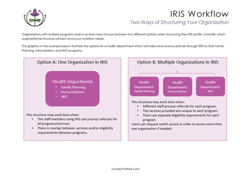 Iris Workflow Two Ways Of Structuring Your Iris Organization Connect