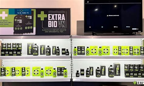 Vi Sinh Extra Bio Có Tốt Không 10 Tác Dụng Của Men Vi Sinh Bạn Cần Biết