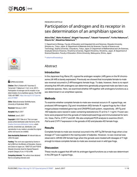 PDF Participation Of Androgen And Its Receptor In Sex Determination Of An Amphibian Species