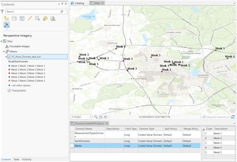 Bug Domain Unique Values Symbology Repeating Esri Community