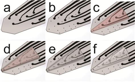 Figure 1 From Perforated 2×2 Parylene Sheath Electrode Array For Chronic Intracortical Recording