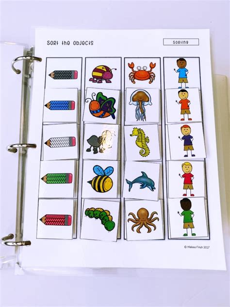 Teaching Sorting Skills In The Classroom Autism Adventures