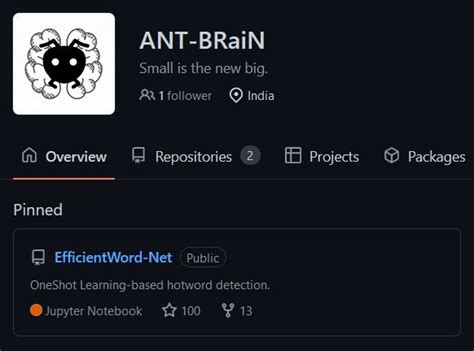 chidhambararajan ramachidambaram on linkedin tinyml ai github