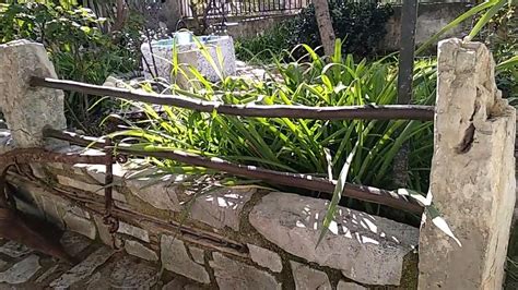 💗Καλημέρα Όμορφο Σαββατοκύριακο Με Υγεία καί Αγάπη 💗 Youtube