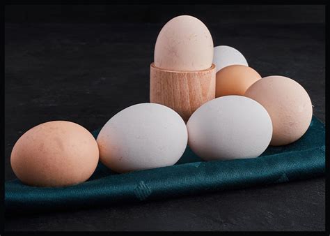 Eating Fortified Eggs Doesnt Raise Cholesterol Level