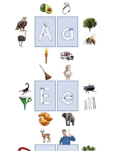 Alfabeto Fonológico Pdf