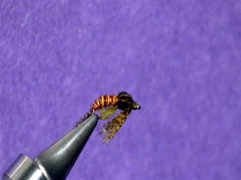 Mahogany Dun Nymph The Perfect Fly Store