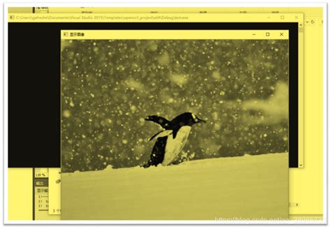 执行opencv生成的解决方案文件时，提示debug Error和opencv Terminate Handler Is Called