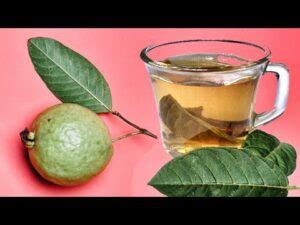 Para Que Sirve El Te De Hierba Del Manso Libros y textos la información útil