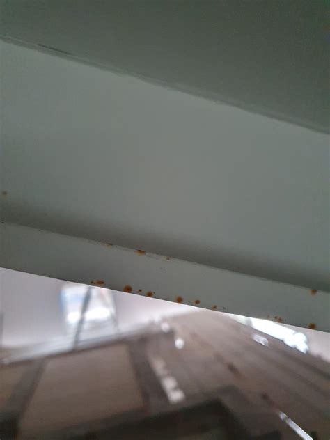 Covering Rust Stains General Self Build DIY Discussion BuildHub Org Uk