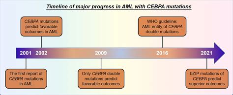 Frontiers Acute Myeloid Leukemia With Cebpa Mutations Current Progress And Future Directions