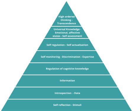 An 8 Layer Model For Metacognitive Skills In Kindergarten Neurology