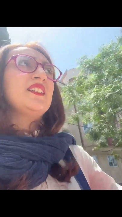 بچه گربه Youtube