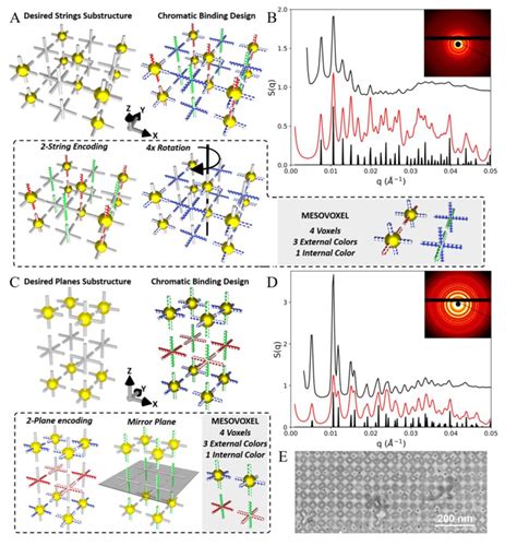 one dimensional and two dimensional hierarchical nanoparticle