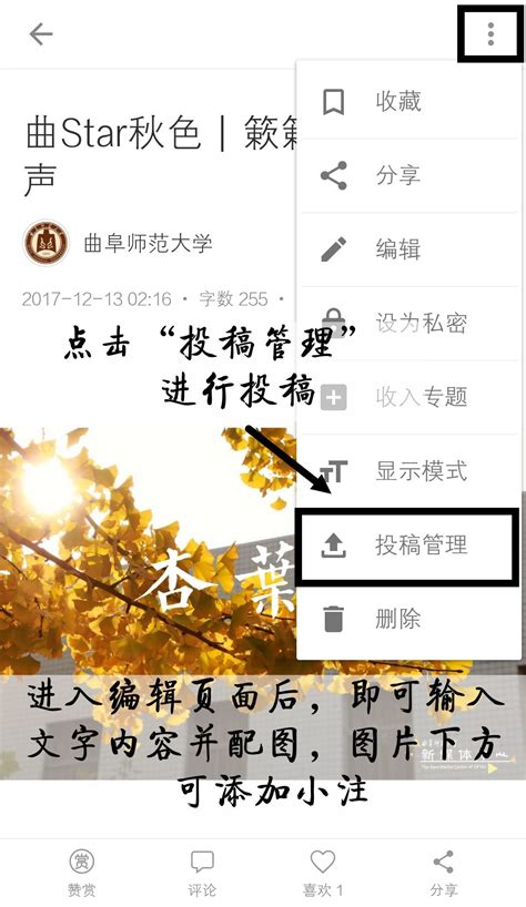 中青校园图注怎么编辑 大山谷图库