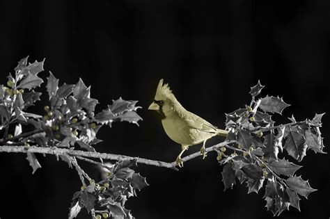 Introduction To Automated Feature Engineering Using Deep Feature Synthesis Dfs Fritz Ai