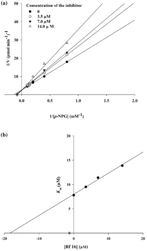 Kinetics Of α Glucosidase Inhibition By 9m A The Lineweaverburk
