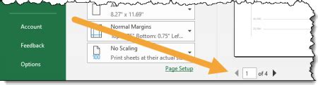 Properly Print Excel Files With These Tips Xelplus Leila Gharani
