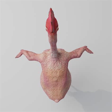 3d Funny Rooster Without Feather Turbosquid 2218159