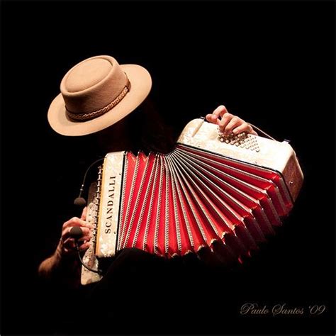 Best Everything Else About The Accordion Images On Pinterest
