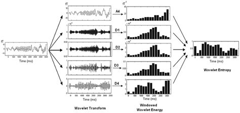Systematic Illustration Of Wavelet Entropy Method Meg Signal Was First Download Scientific