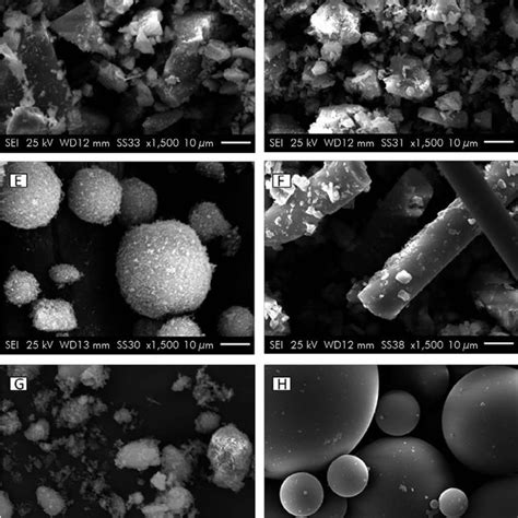 Sem Micrographs Showing The Morphology Of The Different Fillers A