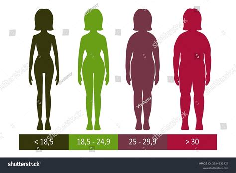 Body Mass Index Infographics Bmi Obesity Stock Vector Royalty Free 2554631427 Shutterstock