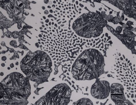 White Cast Iron Microstructure Description