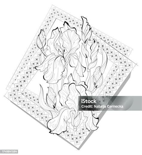 흑백 페이지 색칠하기 책입니다 아름다운 홍채 꽃의 판타지 그림입니다 직물 장식 및 문신을 인쇄하십시오 어린이와 성인을 위한