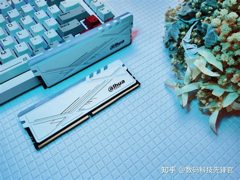 大华C600内存条评测平民价升级超频存储荆棘之甲神光同步 知乎
