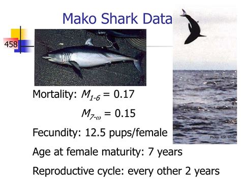 Ppt Age Structured Models Continued Estimating L From Leslie