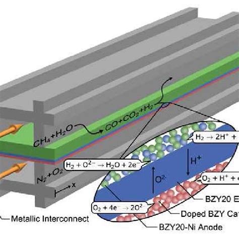 Illustration Of The Operation Of A Co Flow Planar Pcfc Download Scientific Diagram