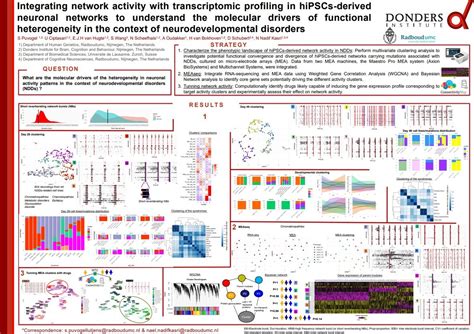 Integrating Network Activity With Transcriptomic Profiling In Hipscs