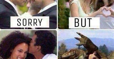 July 29th Now With Lqbtq And Tyrannosaurus Sex Acceptance D Album On Imgur