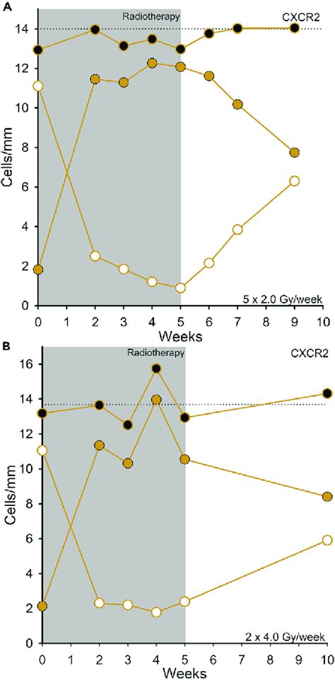 CXCR2 Upregulation In Melanocytes Upon Radiation Exposure Upregulation Download Scientific
