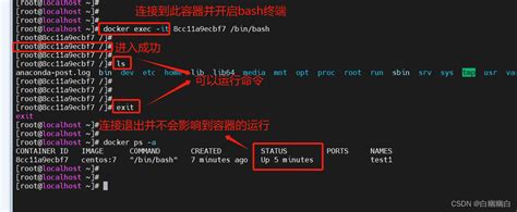 【docker从入门到入土 1】docker架构、镜像操作和容器操作 载入镜像 csdn博客