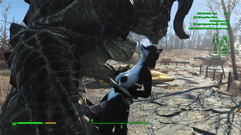 Aaf Patch For Vulpine Race A Simple Cbbe Retexture And Vulpinegear